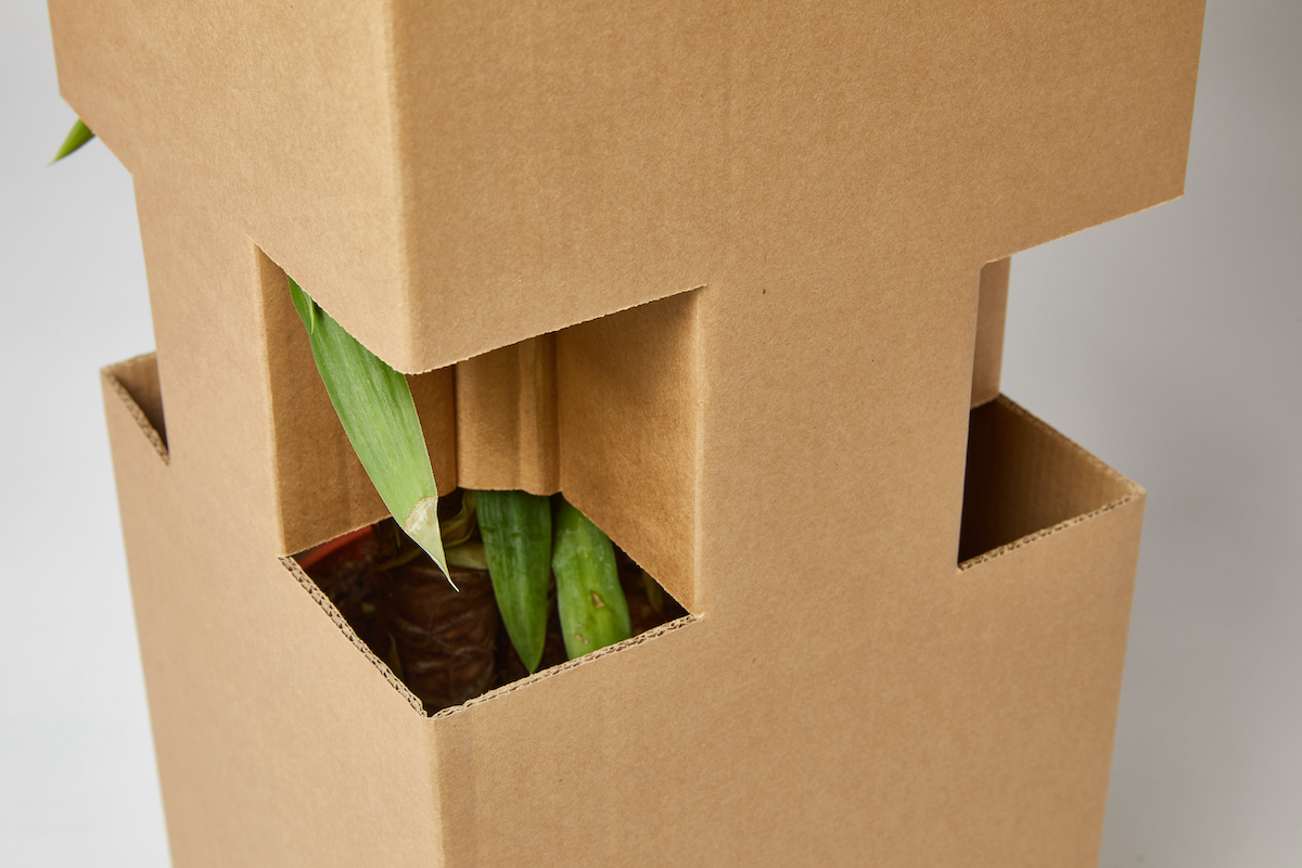 Five Custom Personalised Packaging Solutions